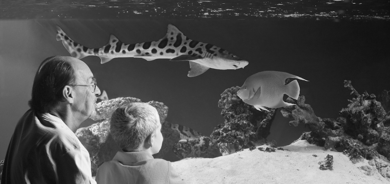 How Grandparenthood Is Changing—and Unchanged | Institute for Family ...