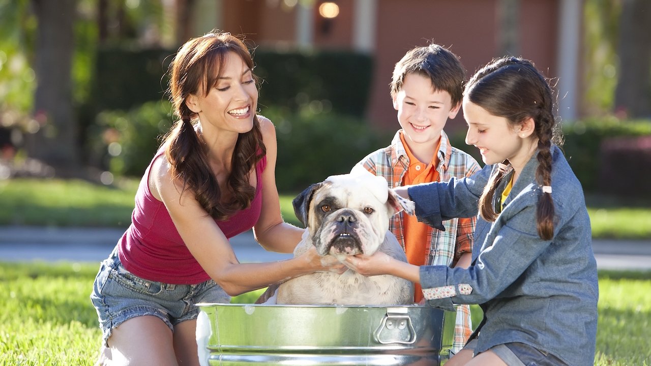 The Secret Power of Family Work | Institute for Family Studies