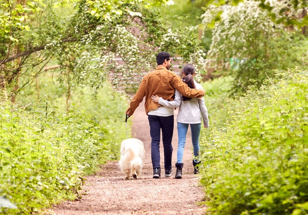 The Success Sequence and Millennial Mental Health: How Following the ...